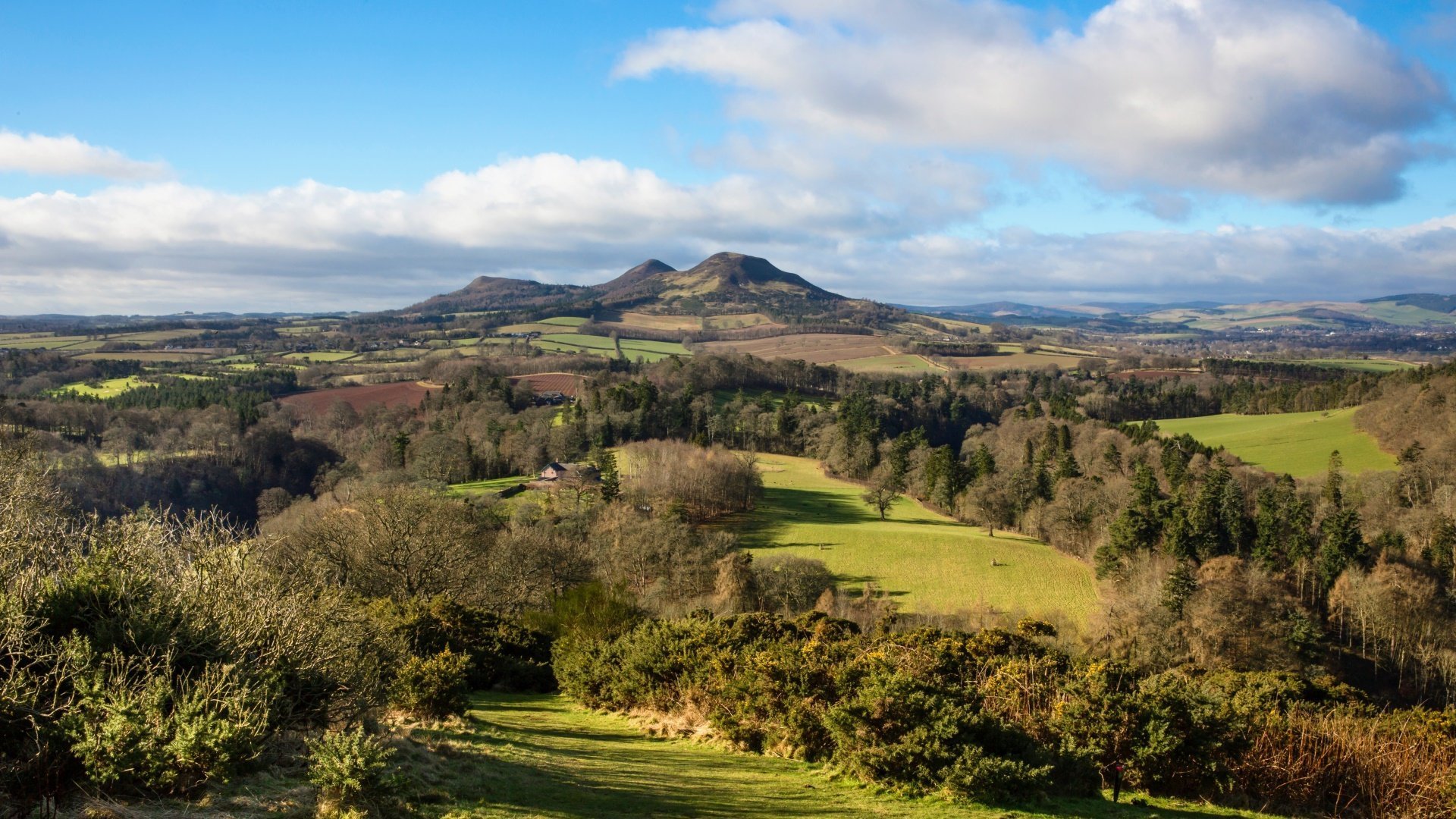 The Borders: Rosslyn Chapel, Abbotsford, & Melrose Abbey Tour